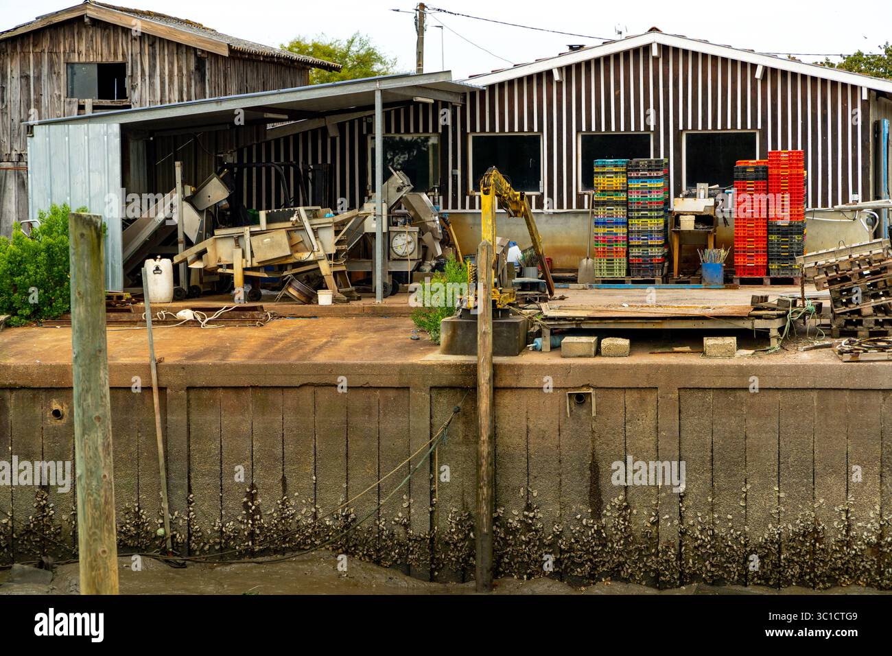 Industrial oyster farming equipment and huts on waterfront at low tide ...