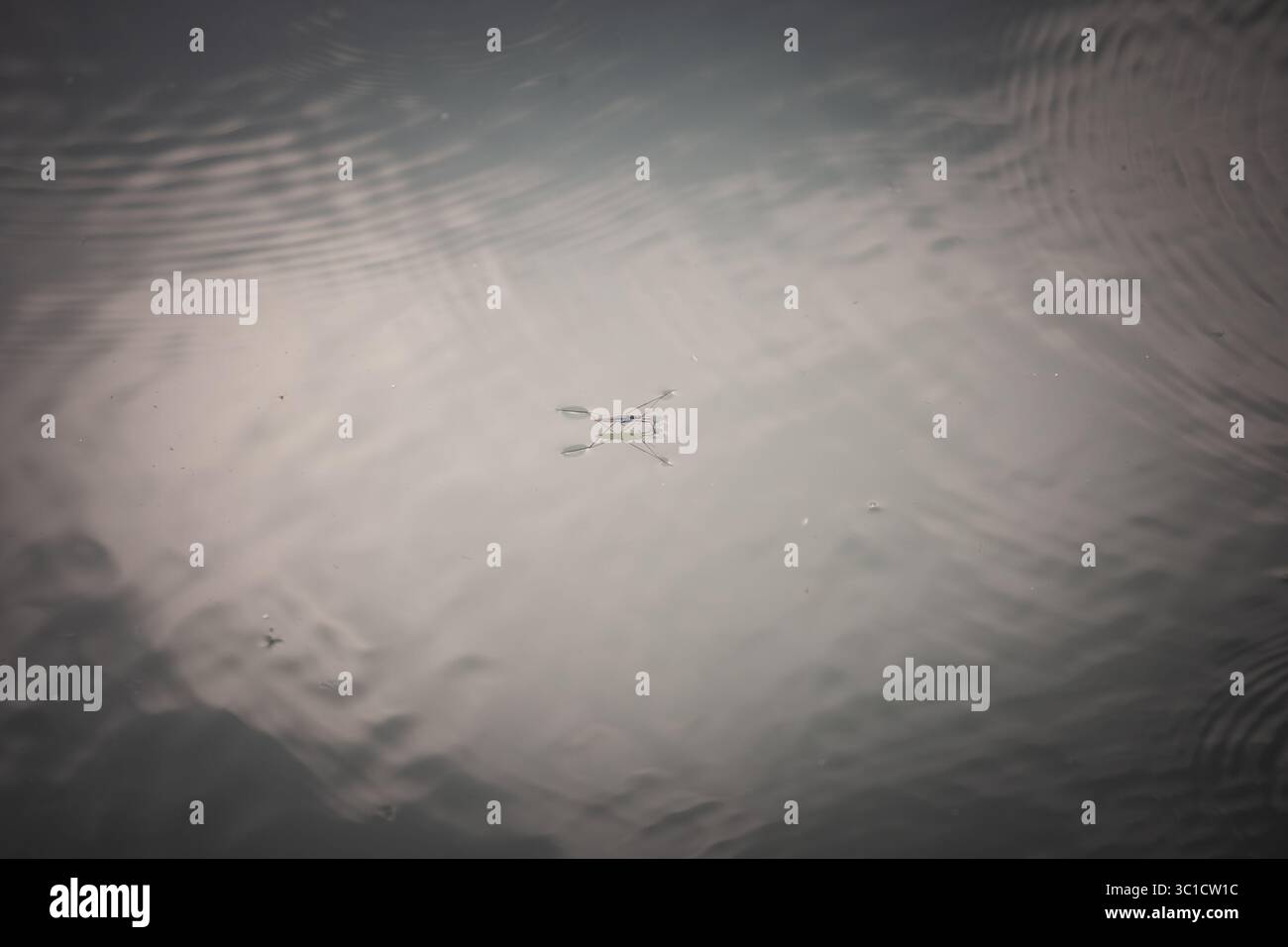 Legs spread wide hi-res stock photography and images - Alamy