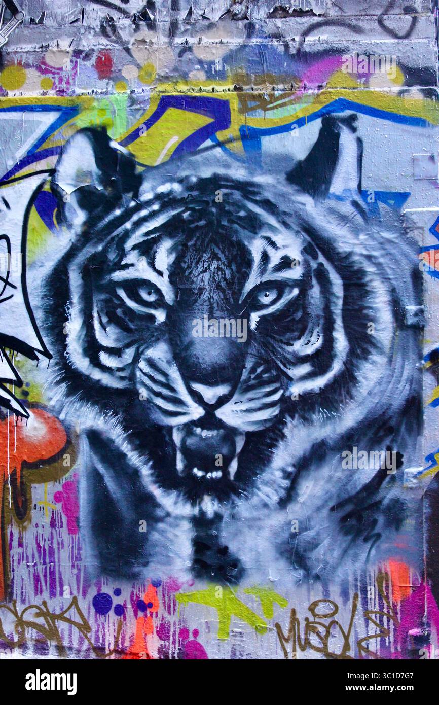 Realistic tiger graffiti hi-res stock photography and images - Alamy