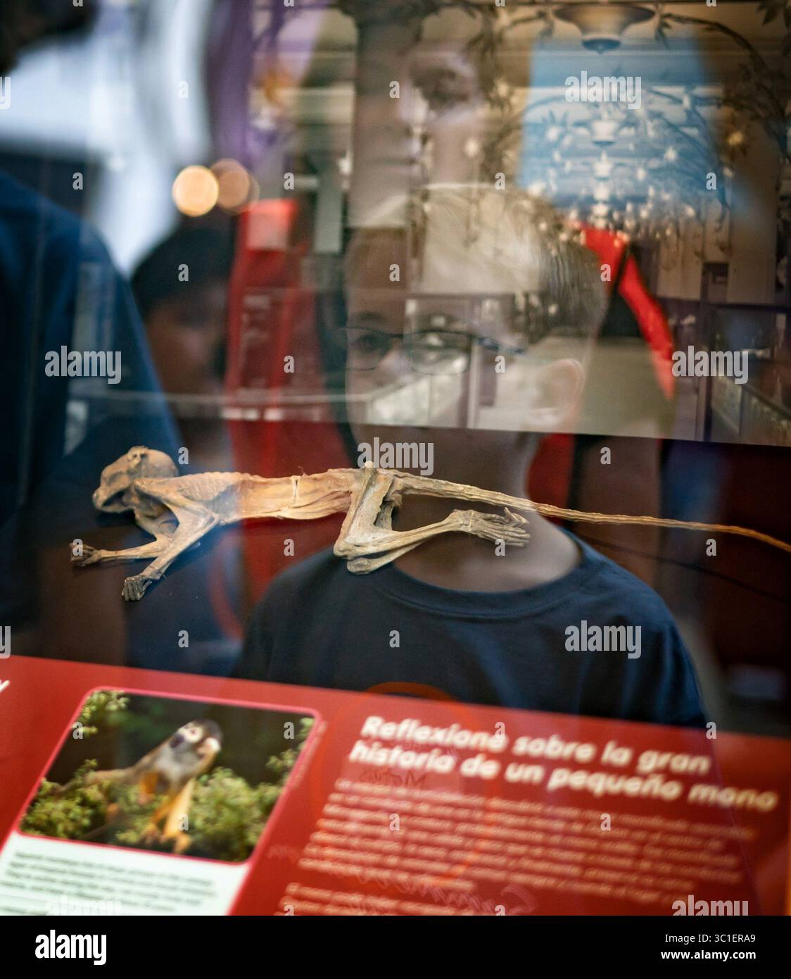 June 14, 2018 - St. Paul, Minnesota, USA - Matias Torniainen, 8, looked ...