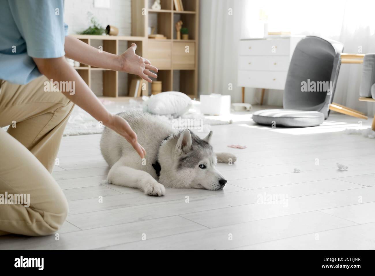 Woman scolding dog mess hi-res stock photography and images - Alamy