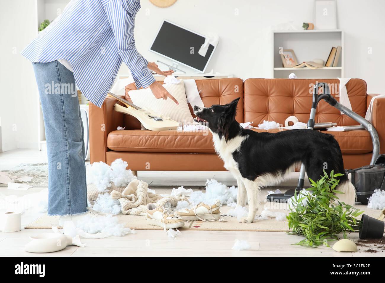 Woman scolding dog mess hi-res stock photography and images - Alamy