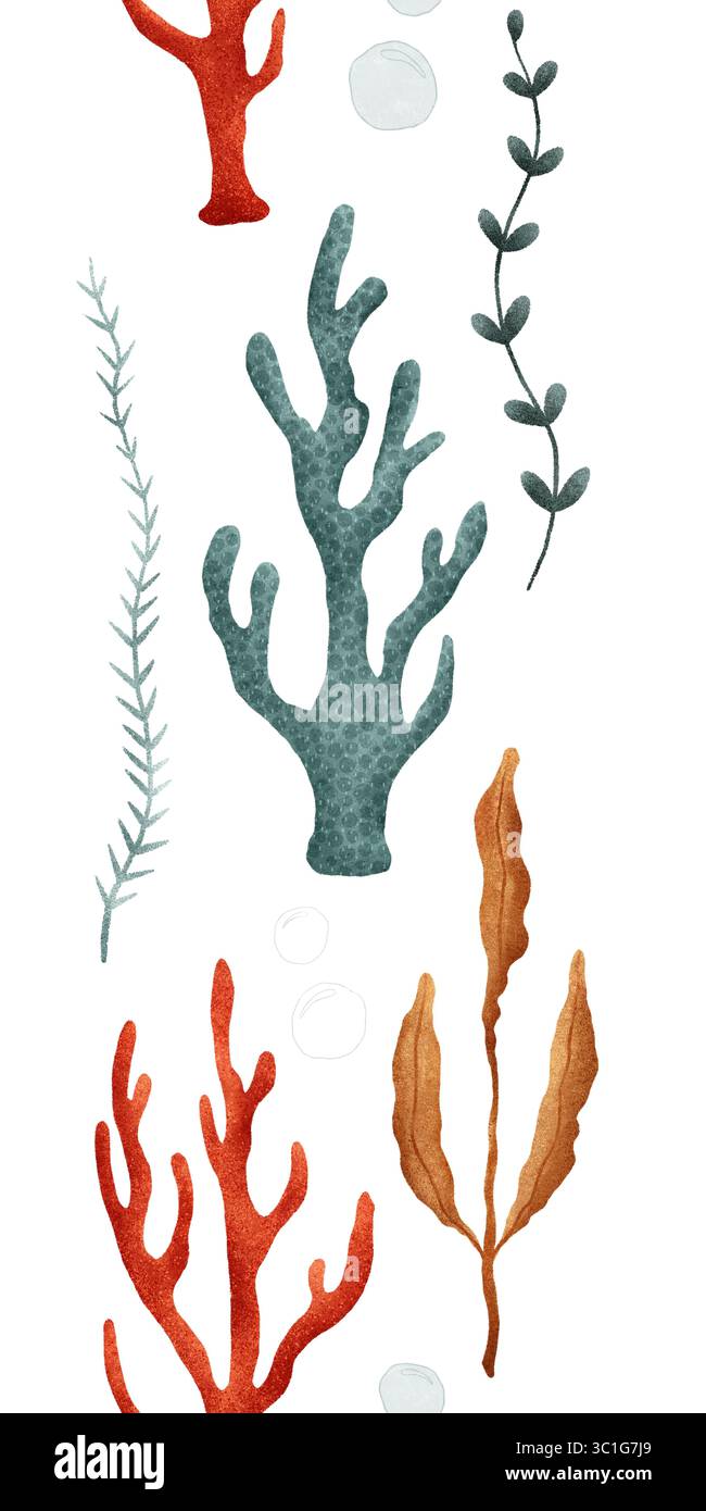 Stunning coral and beautiful seaweed designs that are ideal for marine ...
