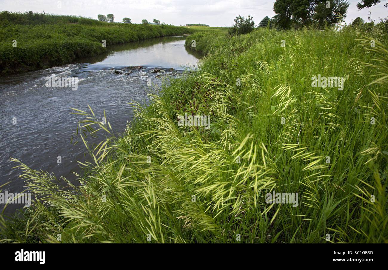 Grass filter strip hi-res stock photography and images - Alamy