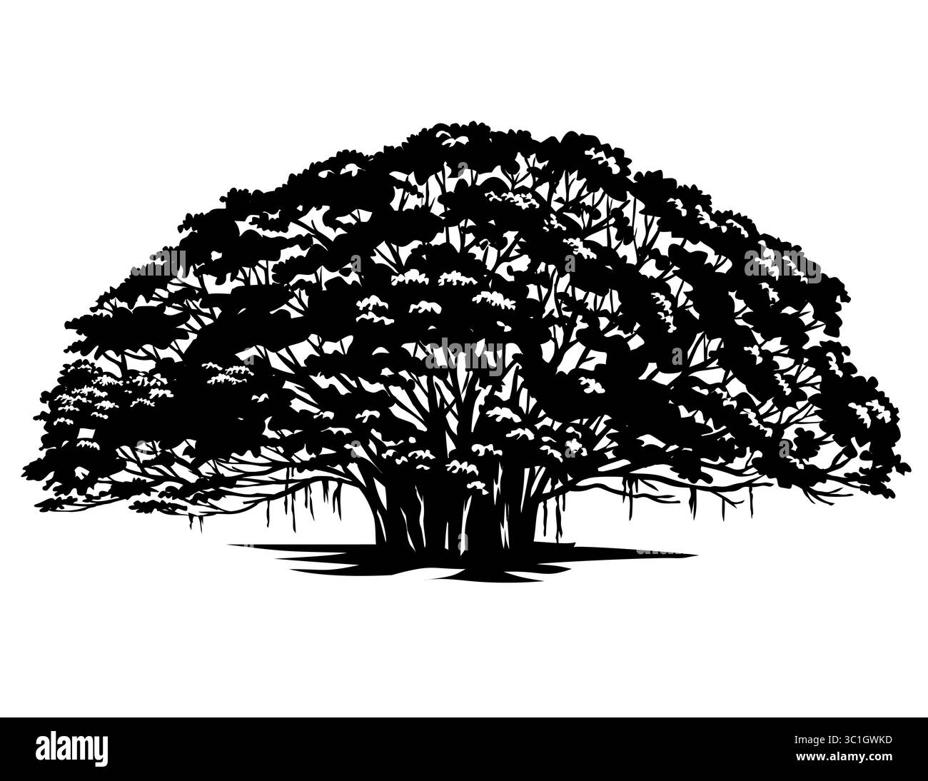 Retro woodcut style illustration of a banyan tree, banian, Ficus ...