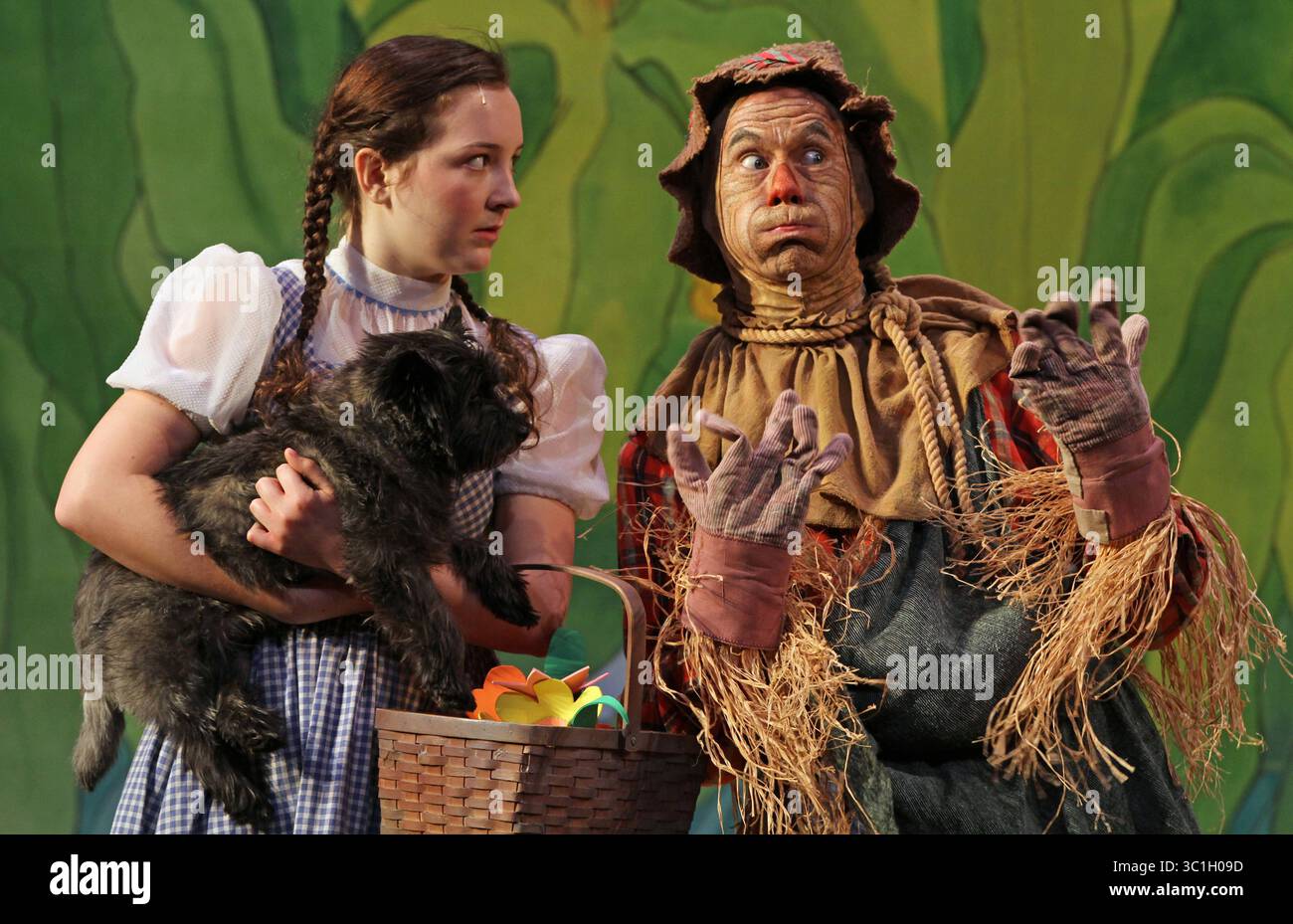 Dorothy holt hi-res stock photography and images - Alamy