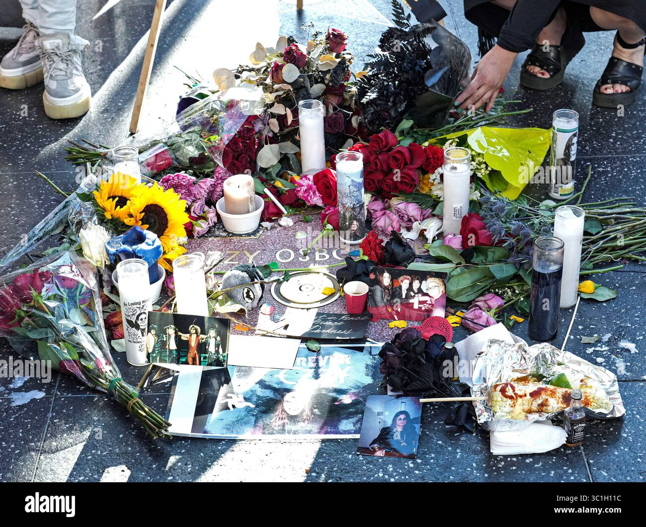 Memorial Flowers Placed On Ozzy Ozbourne's Hollywood Walk Of Fame Star ...