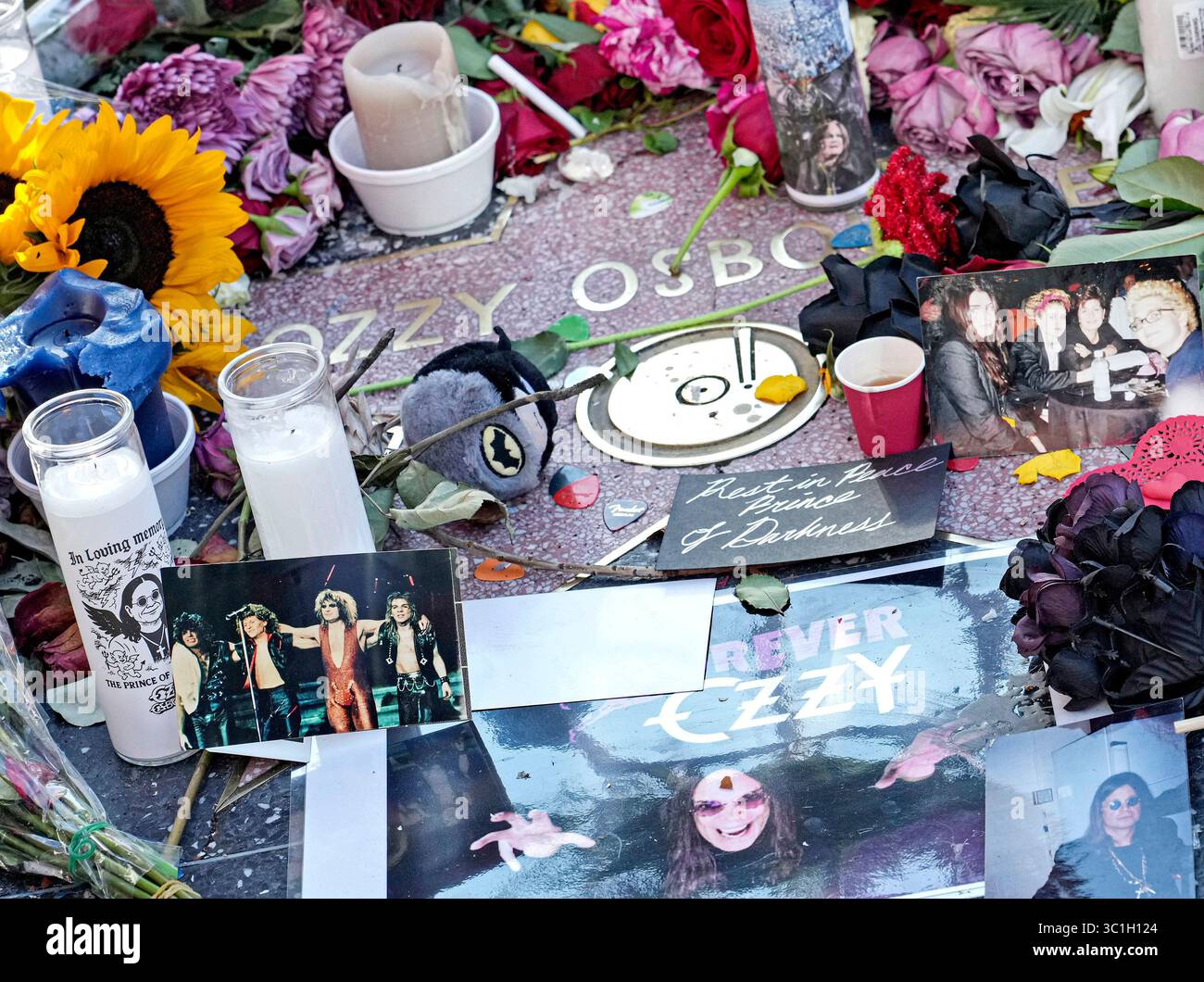 Memorial Flowers Placed On Ozzy Ozbourne's Hollywood Walk Of Fame Star ...