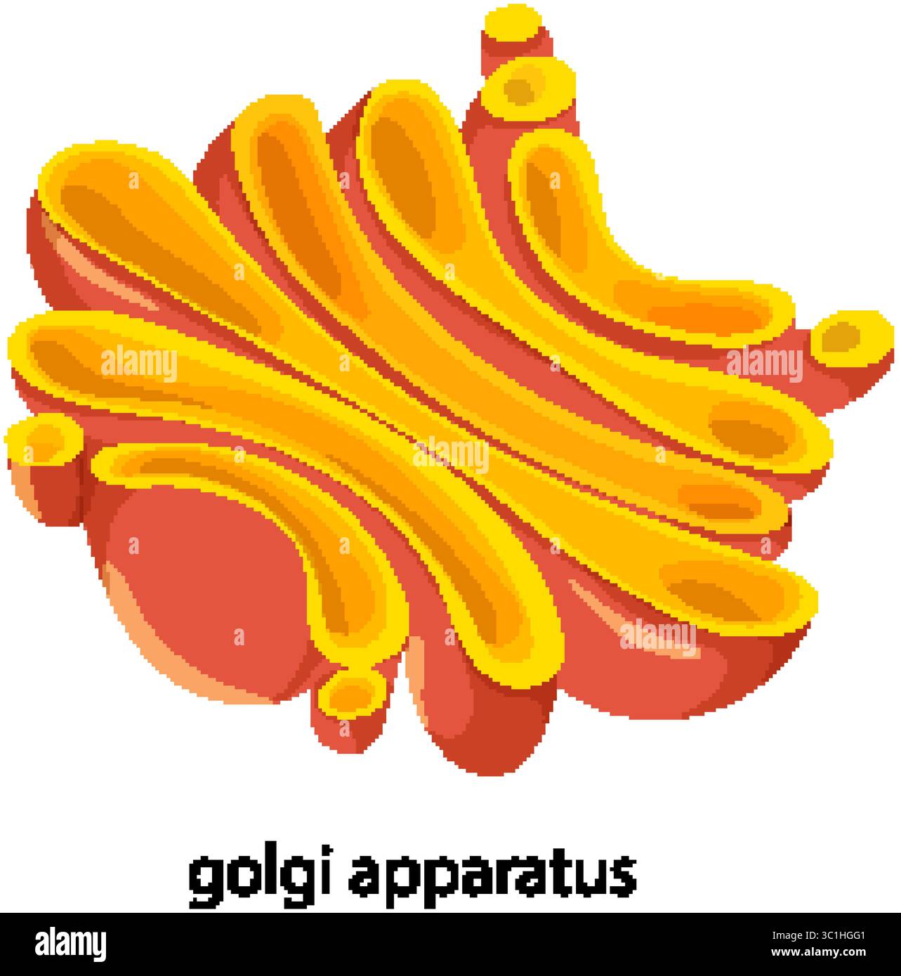 Vesicle trafficking Stock Vector Images - Alamy