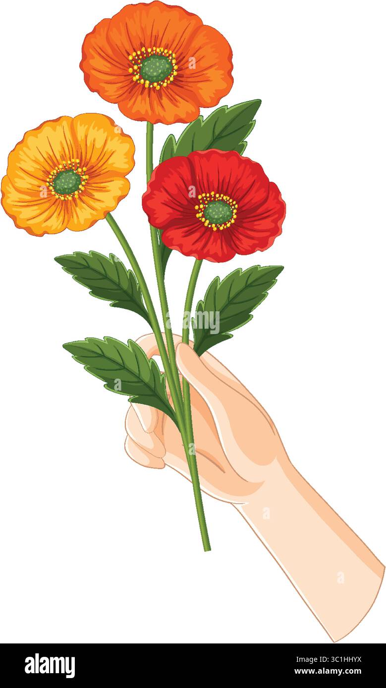 Colorful vector illustration of a hand holding three poppies with ...
