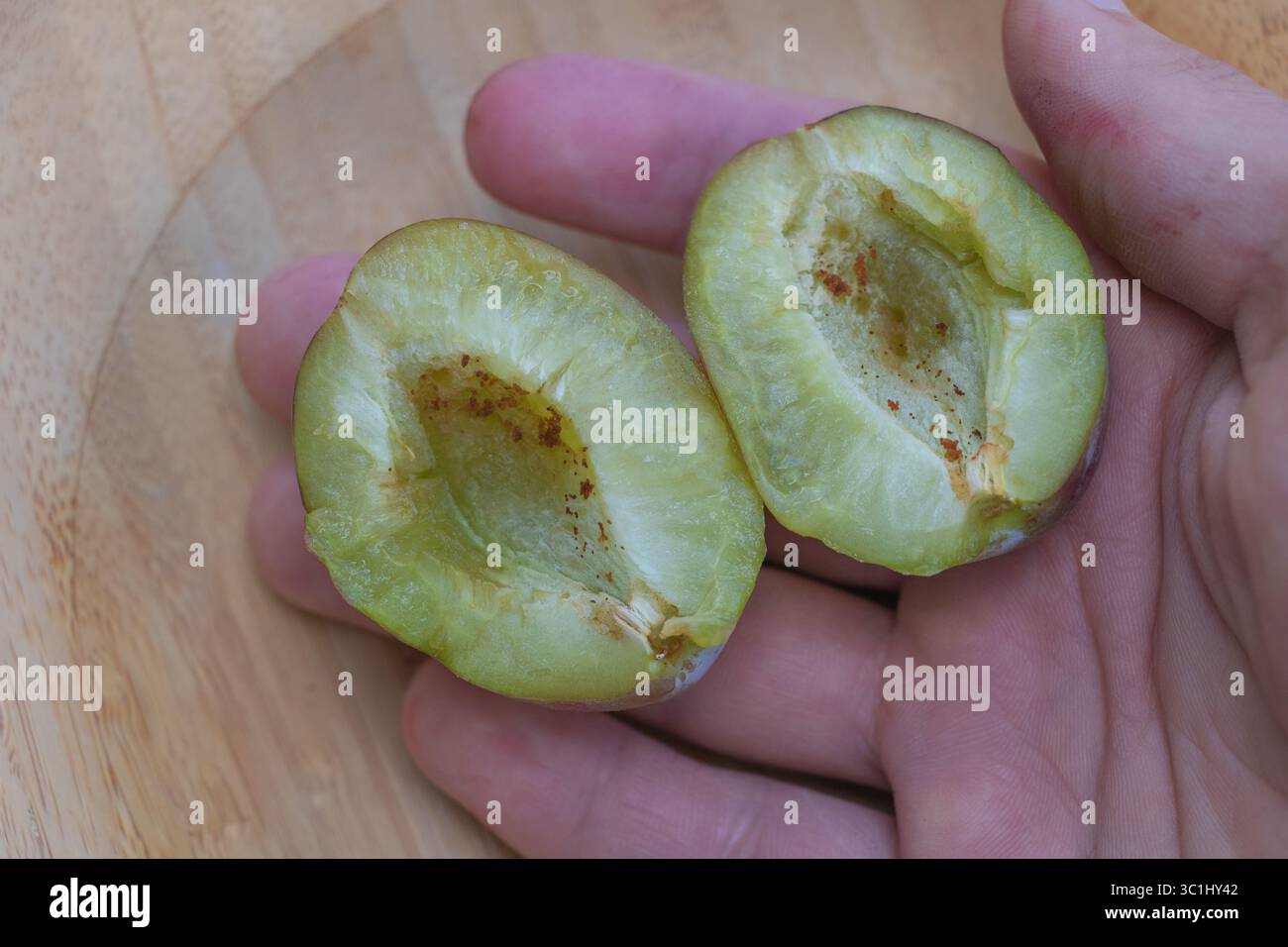 Close-up of a green plum cut in half, showing the fruit's juicy texture ...