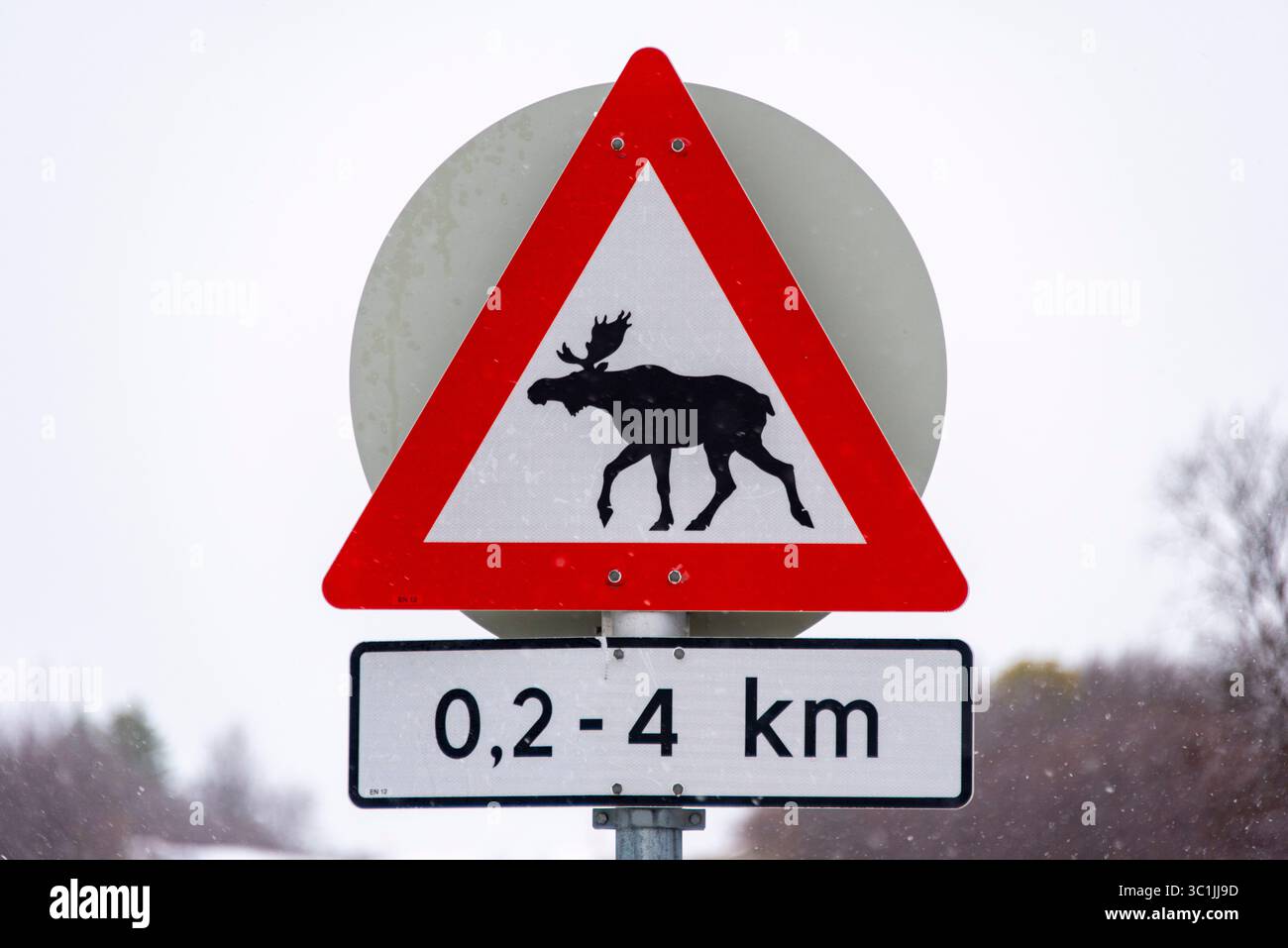 Elk crossing road caution hi-res stock photography and images - Alamy