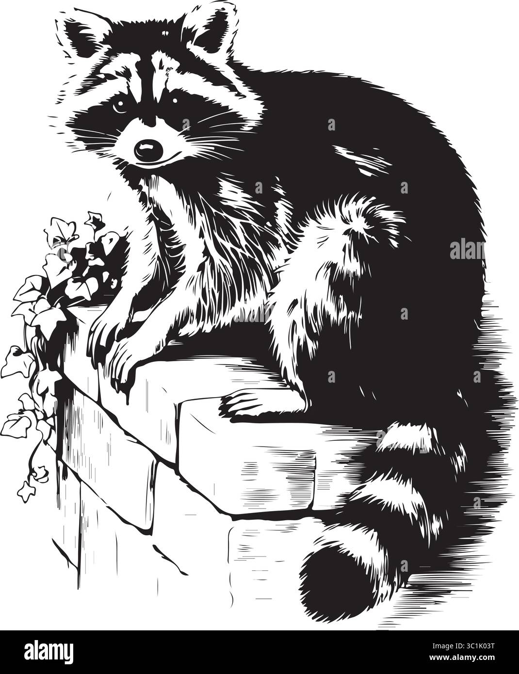 Garden illustration engraving vintage Stock Vector Images - Alamy