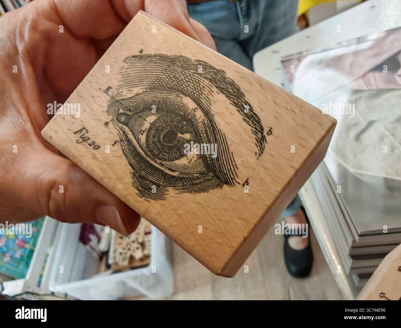 the human eye, the sense organ for the visual perception eye,organ for ...