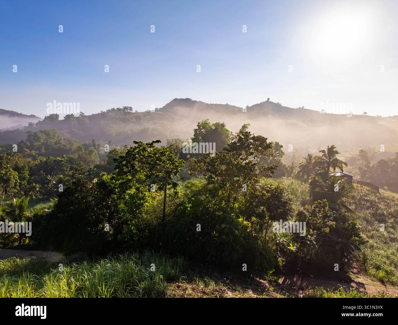 Aerial view of mist-shrouded mountains and lush green trees bathed in ...