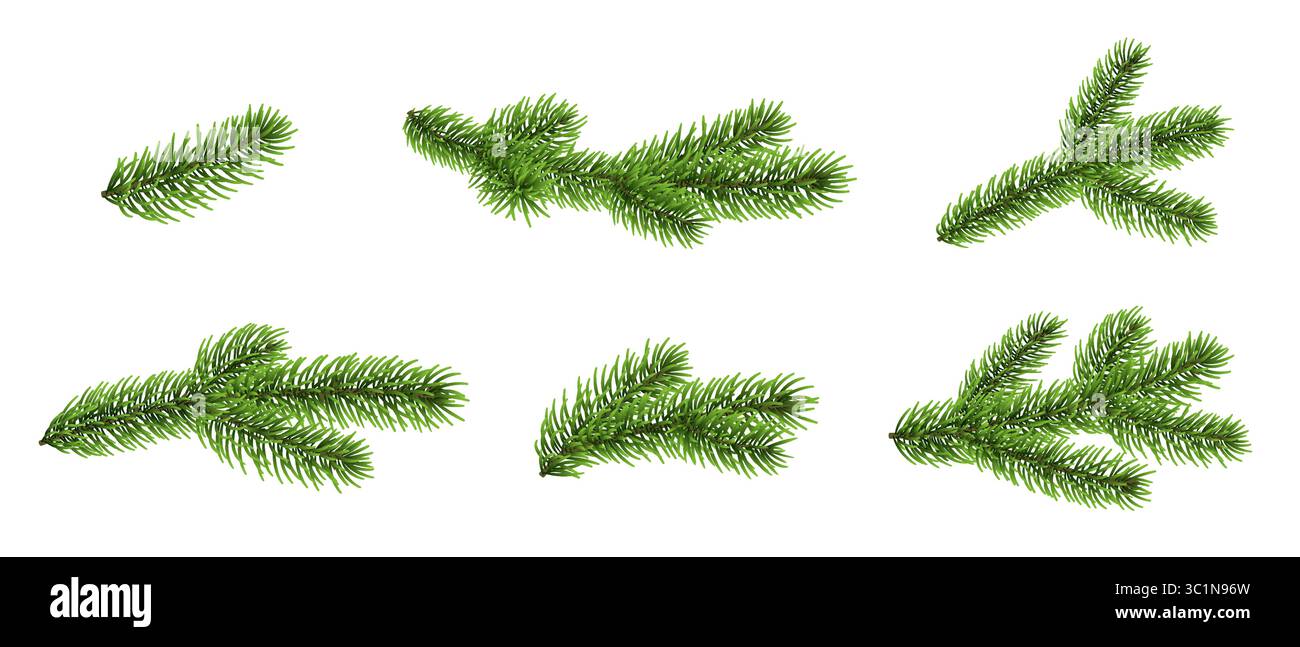 Detail branches spruce tree Cut Out Stock Images & Pictures - Alamy