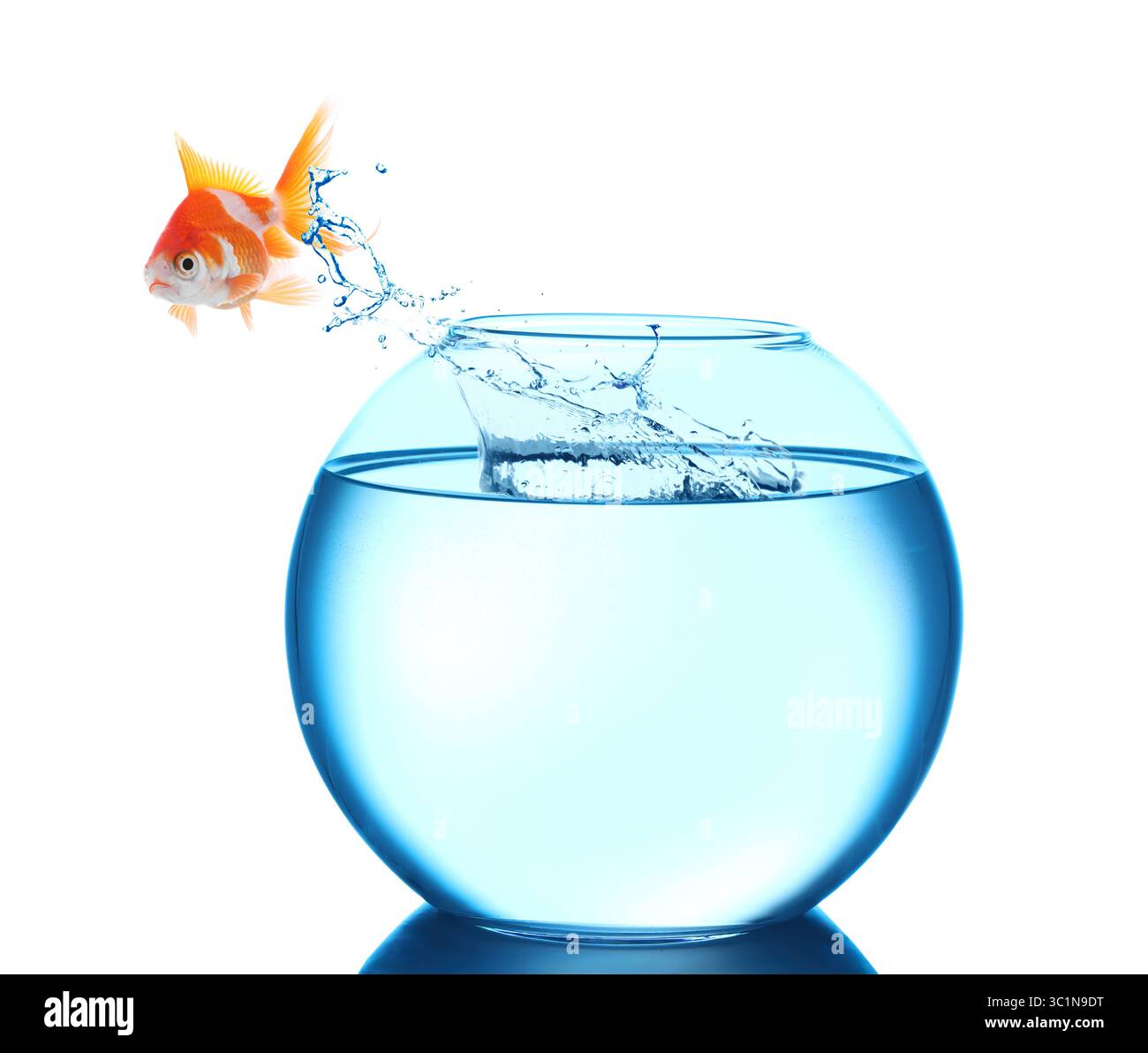 Goldfish jumping out of glass bowl against white background Stock Photo ...
