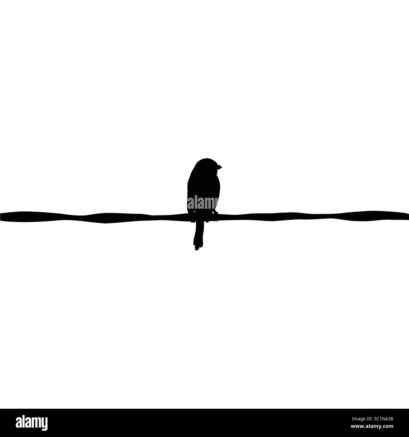 Sparrow bird perching on Cut Out Stock Images & Pictures - Alamy