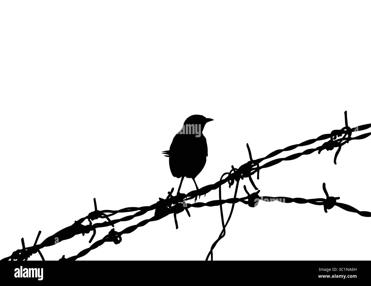 Bird perched illustration Stock Vector Images - Alamy