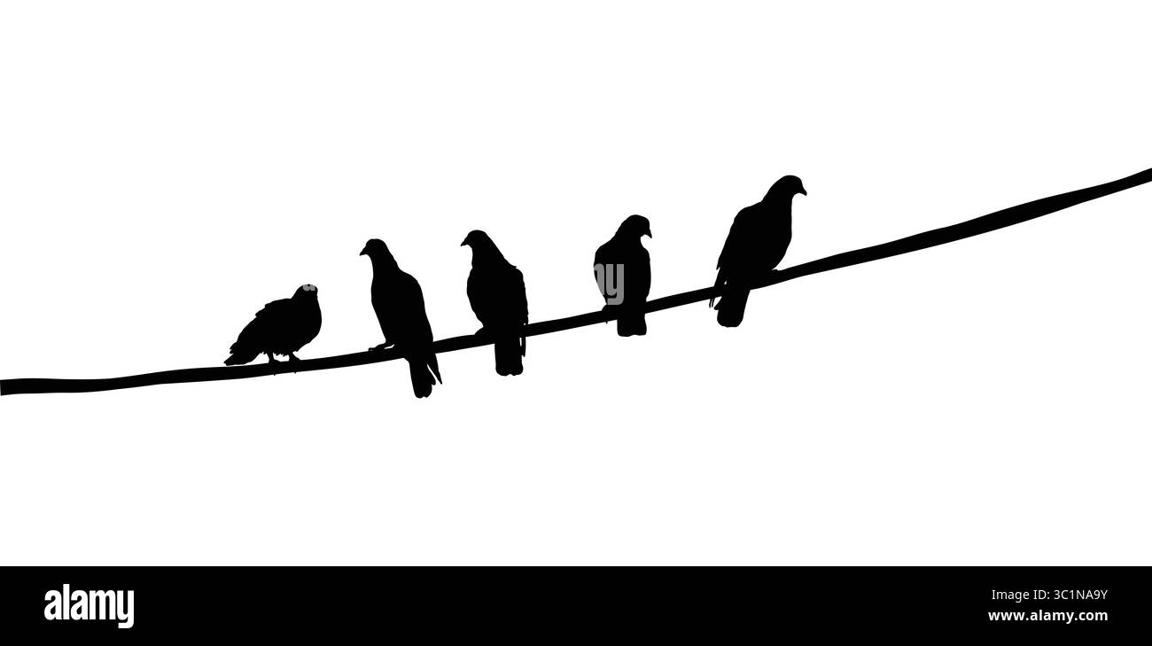 Five birds on tree Stock Vector Images - Alamy