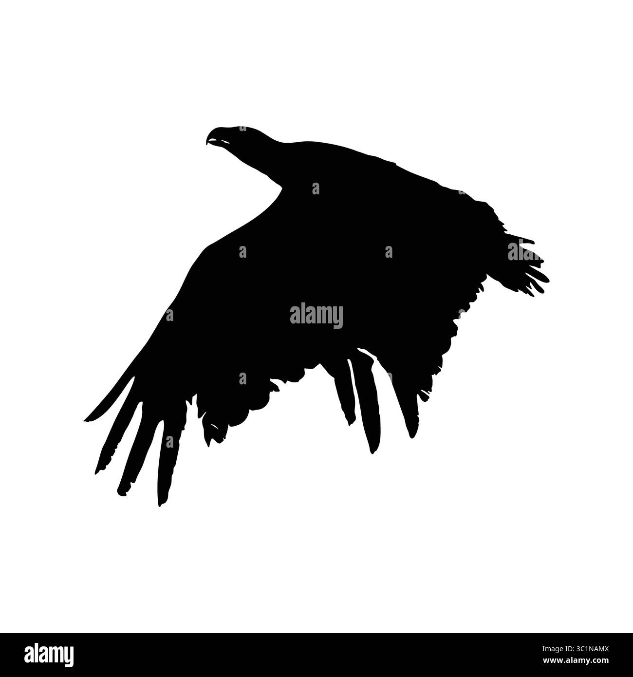 Silhouette of Eagle in Flight vector illustration Stock Vector Image ...