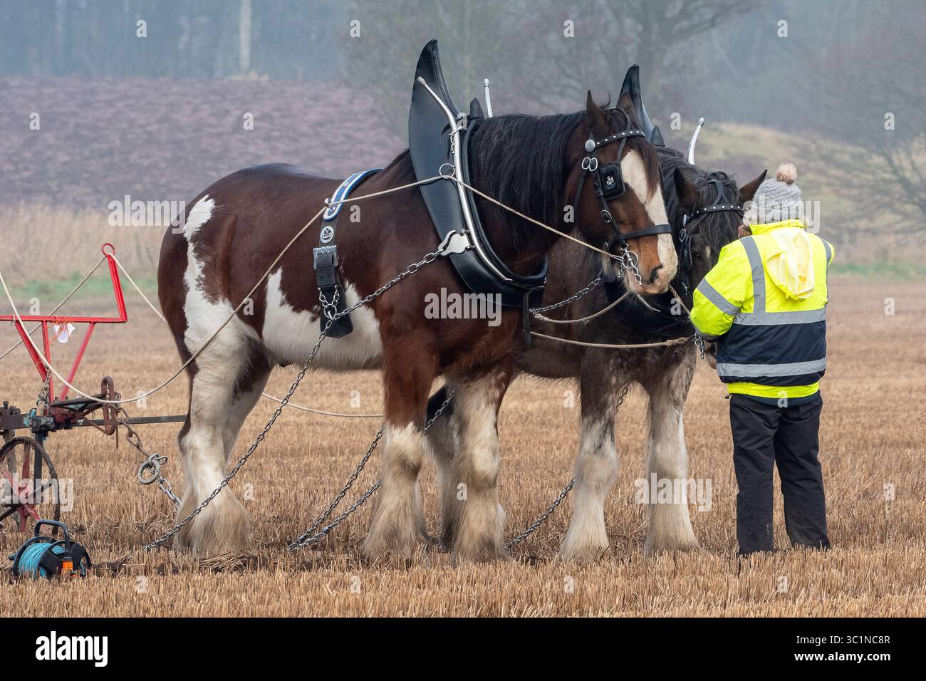 Vintage tractor plough match near Milnathort in Scotland Stock Photo ...