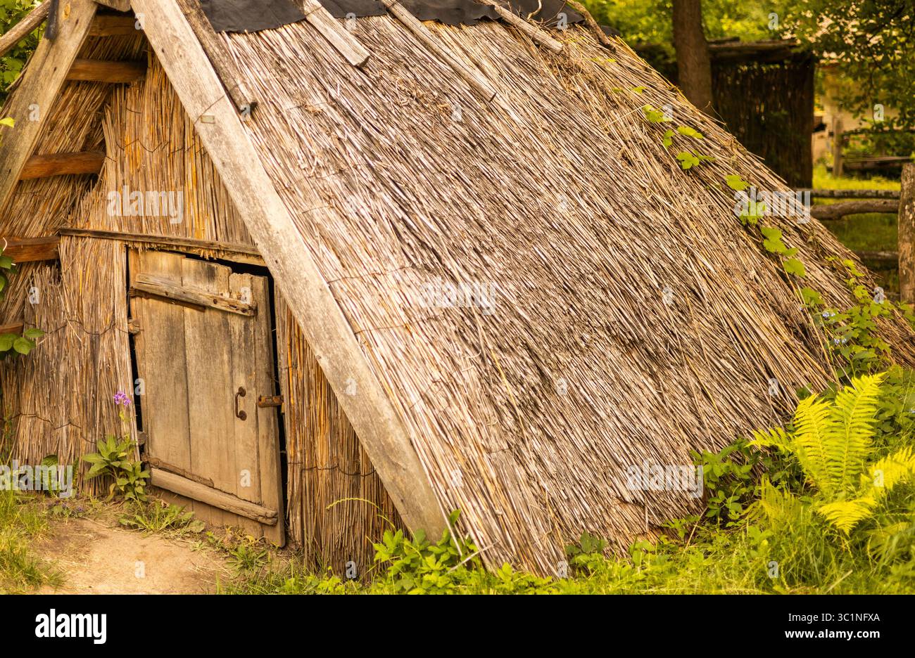 Ukrainian village, old cellar barn on summer day Stock Photo - Alamy