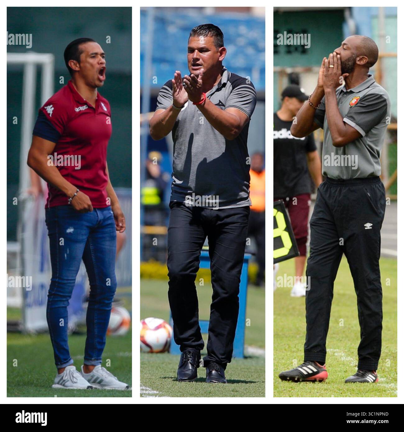 Fotos Cut Out Stock Images & Pictures - Alamy