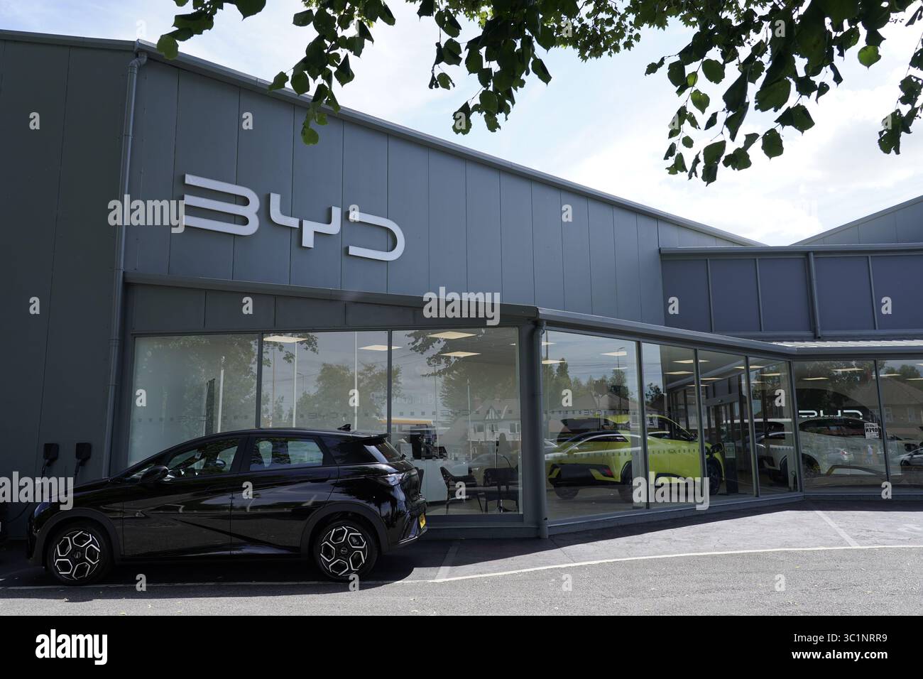 BYD Build Your Dreams cars Corporate logo signs in Wakefield, South ...