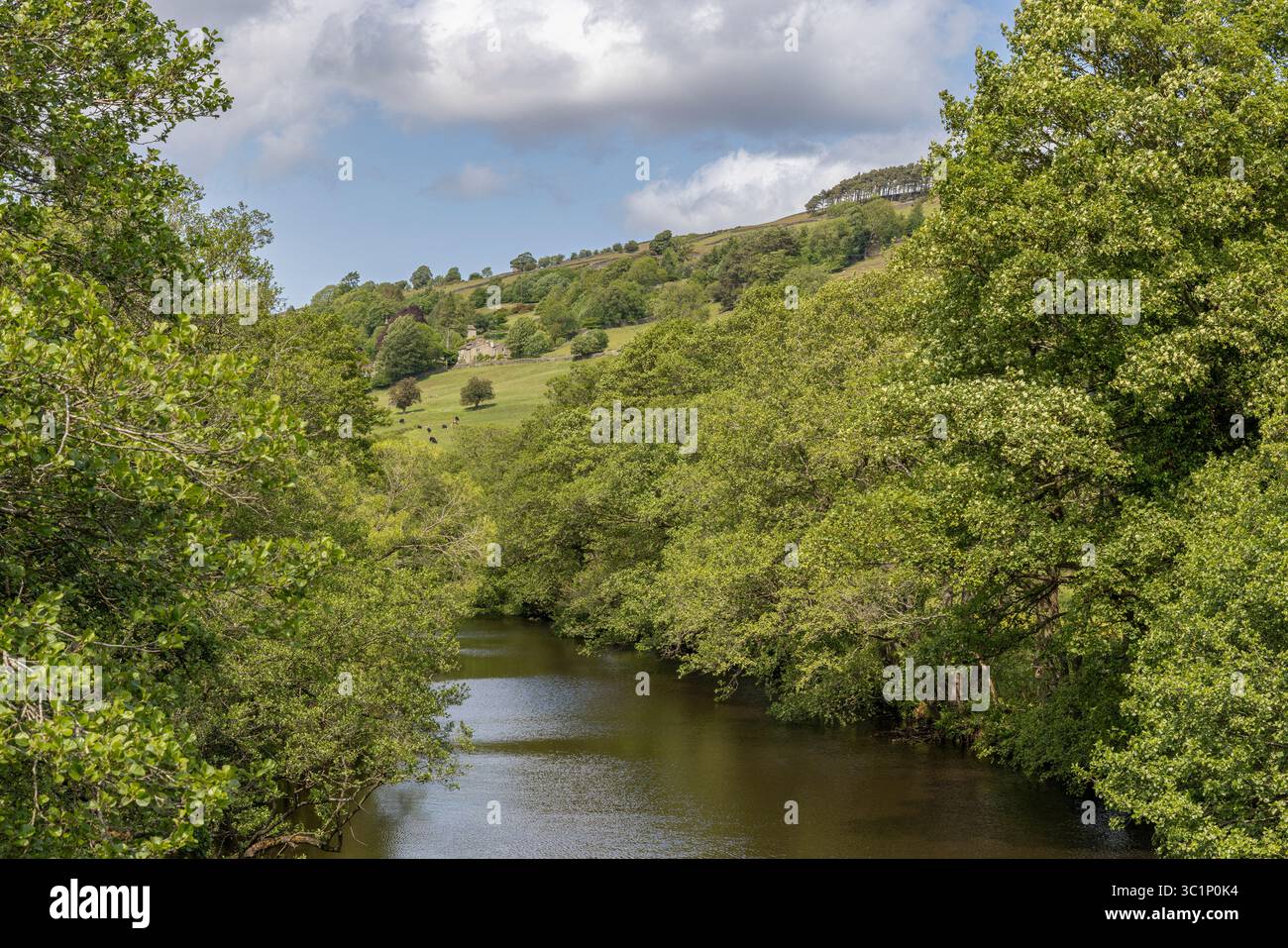 The River Nidd at Pateley Bridge, a market town in Nidderdale, North ...