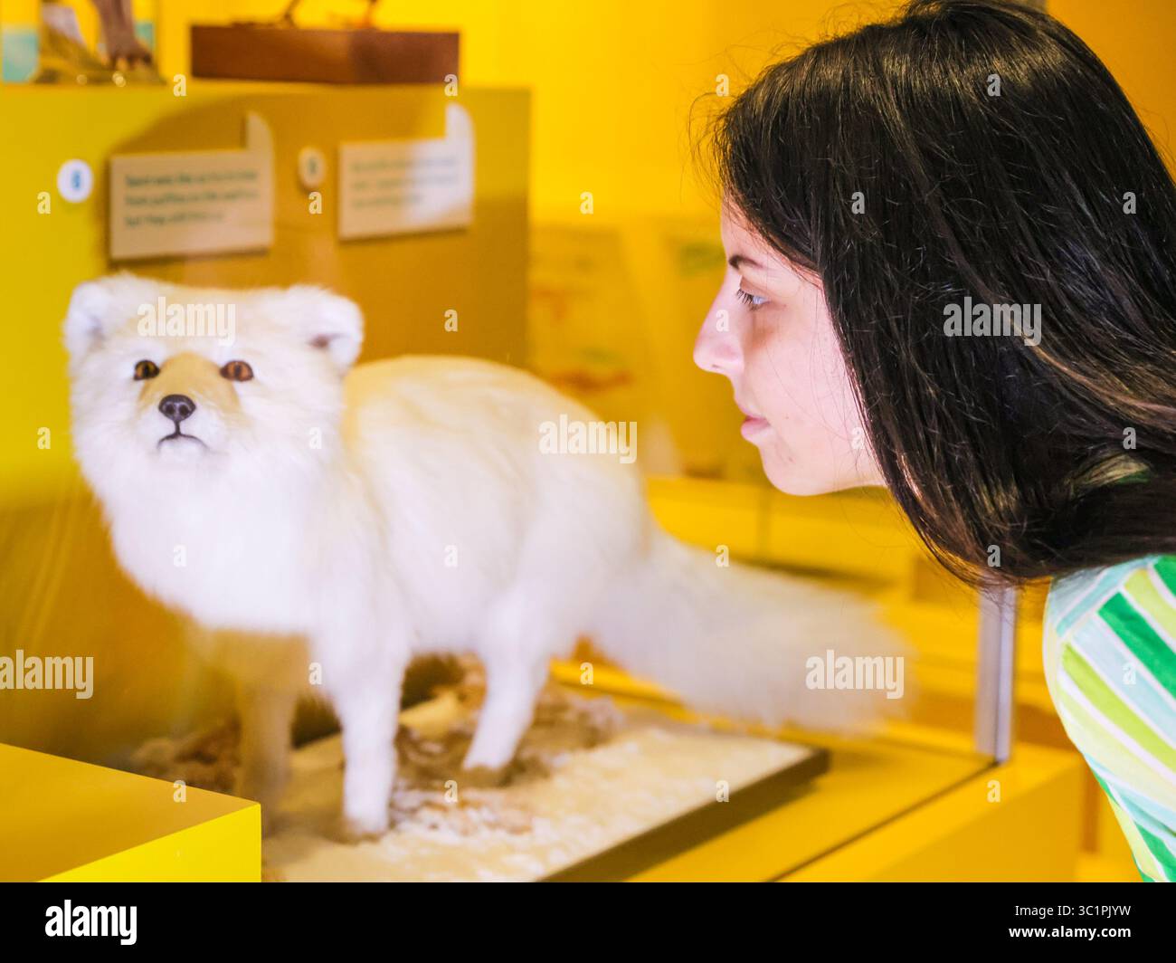 Food exhibition hi-res stock photography and images - Alamy