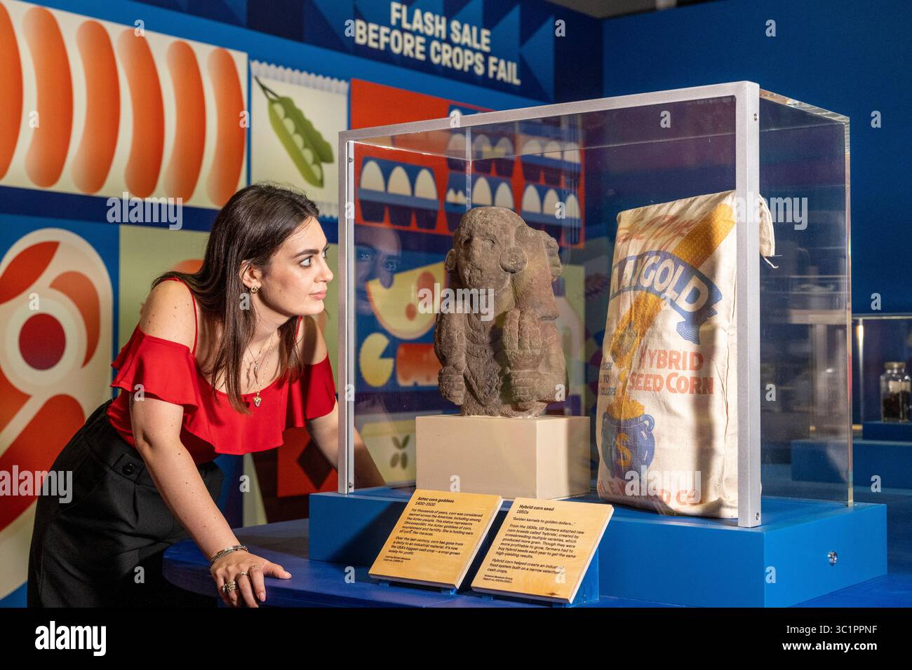 [Embargoed to 24 July 2025, 10.01am] London, UK. 23 July 2025. A staff ...