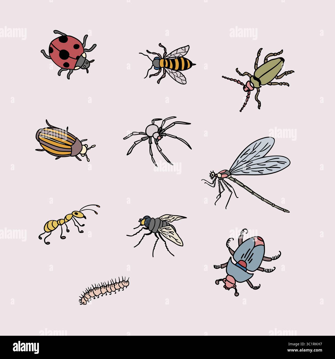 Doodle spider set hand Stock Vector Images - Alamy