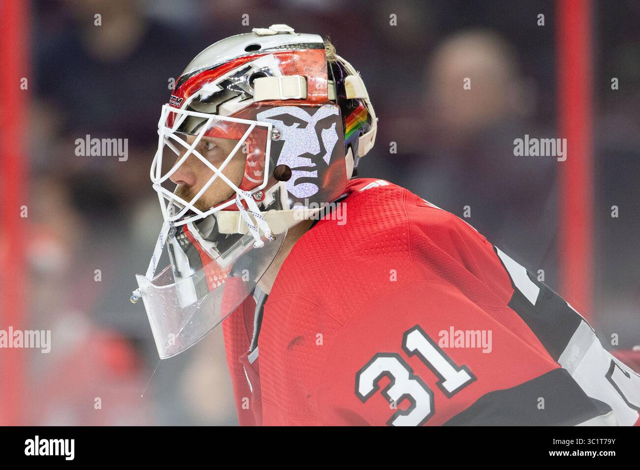 St louis blues senators hi-res stock photography and images - Alamy