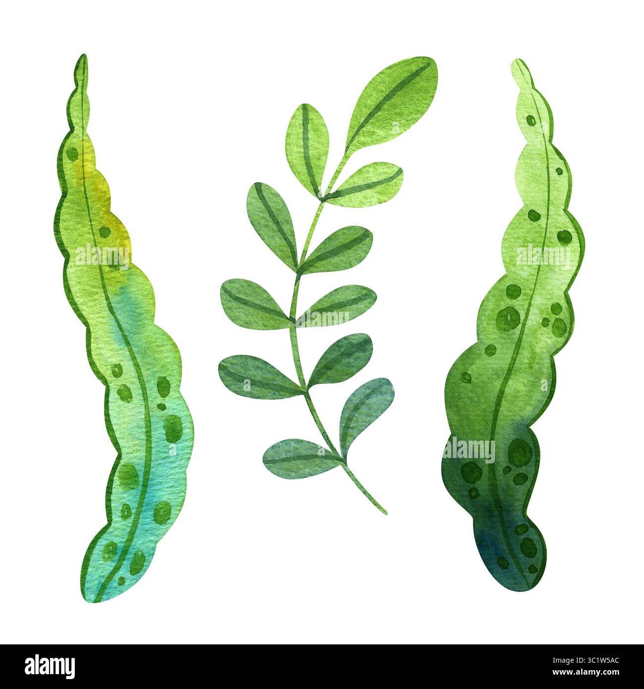 Atlantic ocean sea life Cut Out Stock Images & Pictures - Alamy