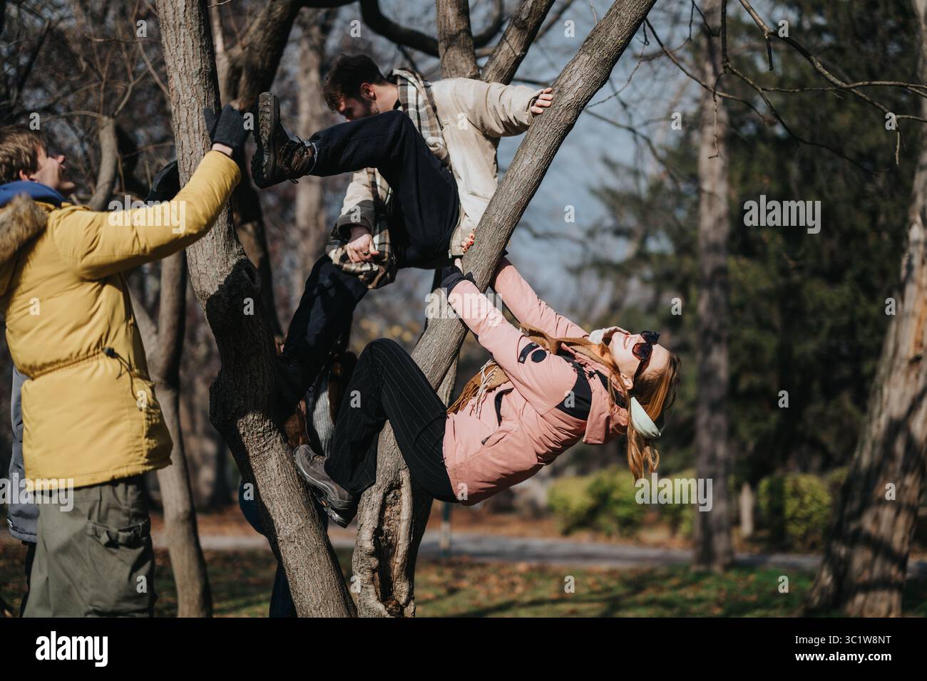 Group of friends helping each other climb a tree in a park Stock Photo ...