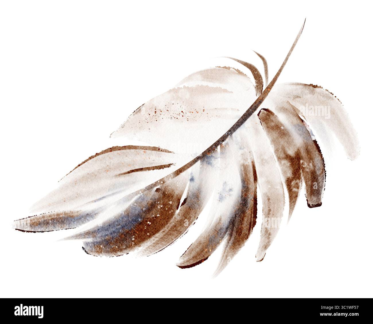 Banana frond Cut Out Stock Images & Pictures - Alamy