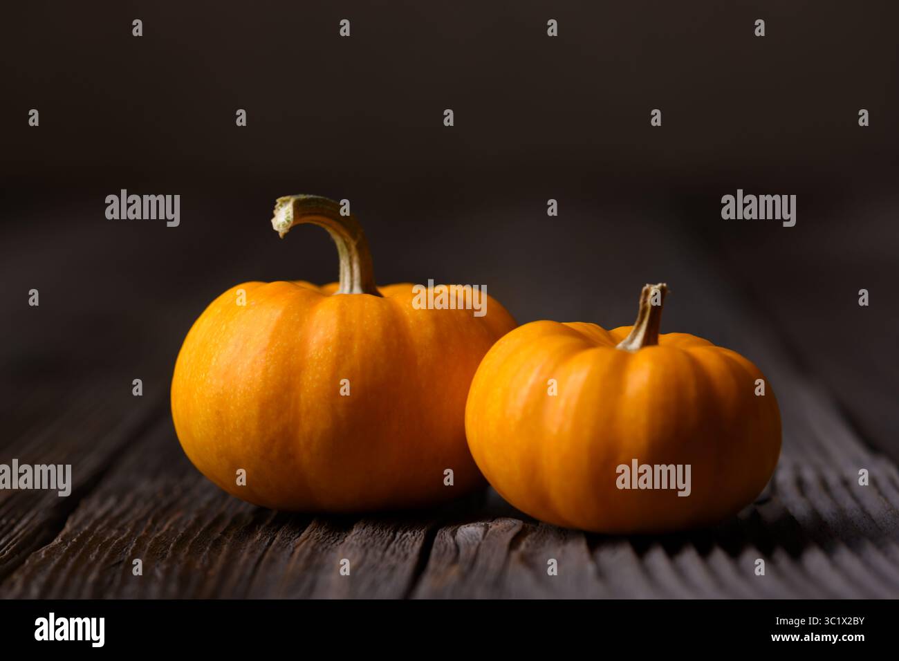 Two orange mini pumpkins on rustic wooden table close up. Decorative ...