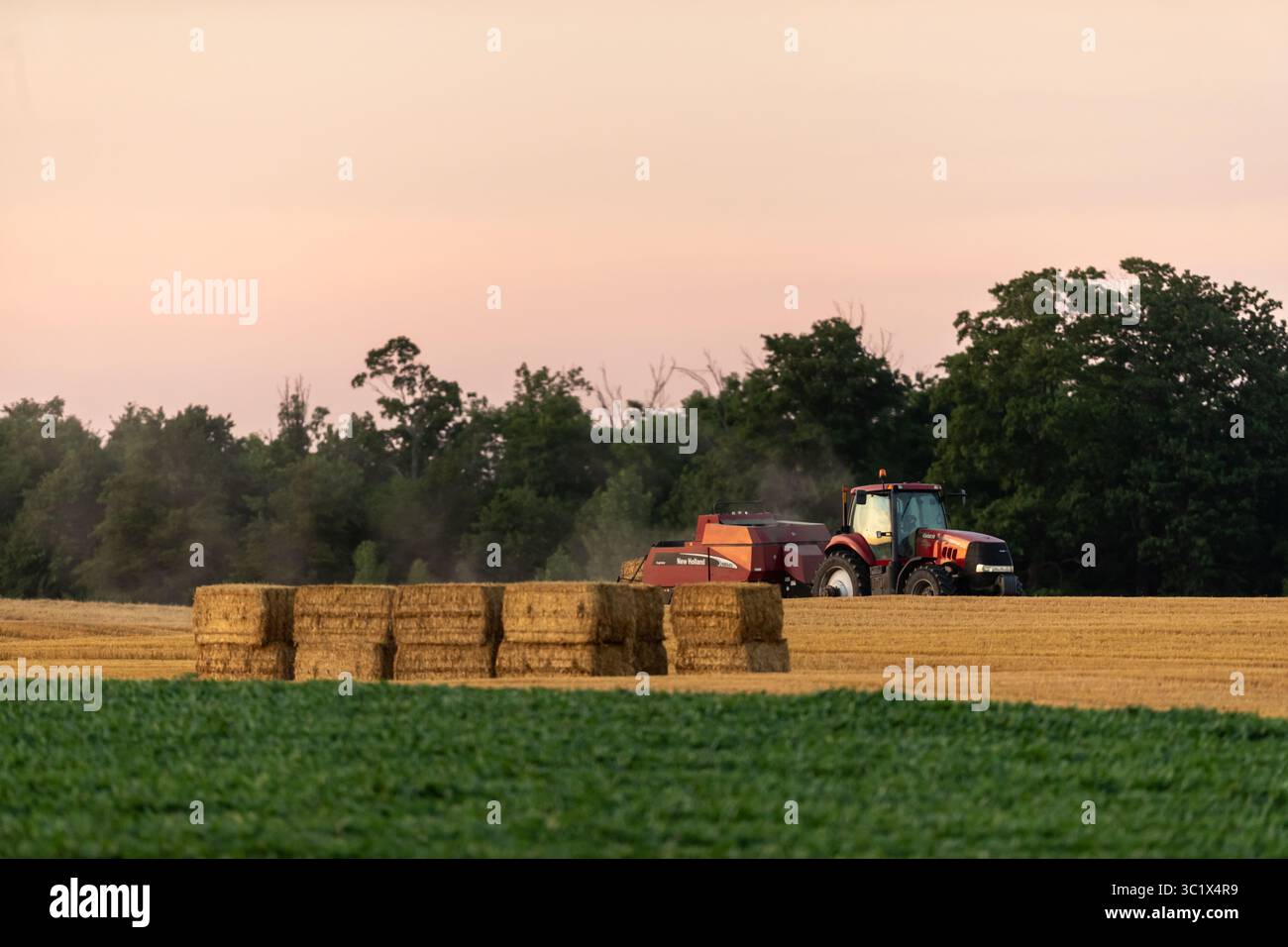 A tractor with a hay baler works a field collecting cut hay and ...