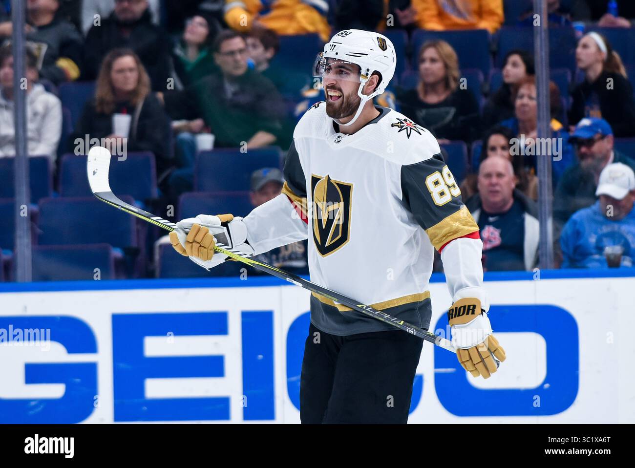 St louis blues knights hi-res stock photography and images - Alamy