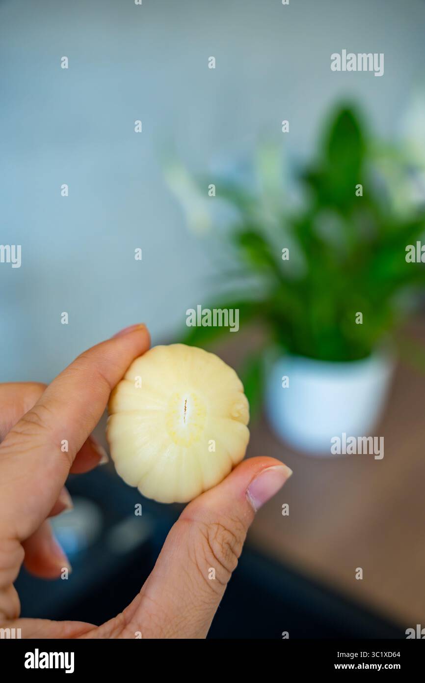 Female hand holding peeled Chinese single clove garlic. Fresh ...
