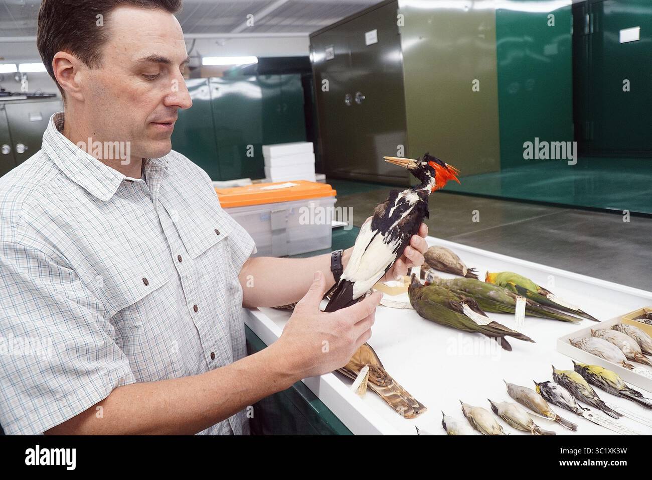 March 26, 2019 - Albuquerque, NEW MEXICO, U.S. - 032619.Christopher ...