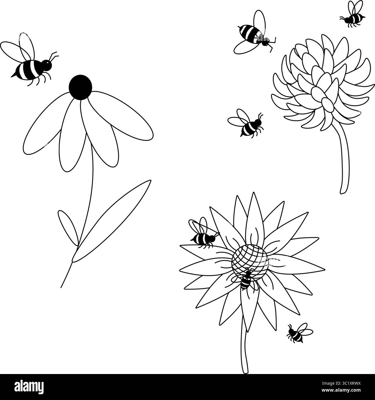 Wild plants with insect Black and White Stock Photos & Images - Alamy