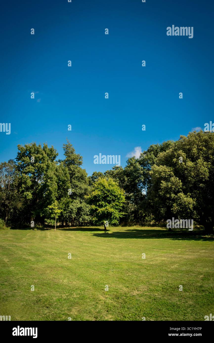 Blue sky under verdant hi-res stock photography and images - Alamy