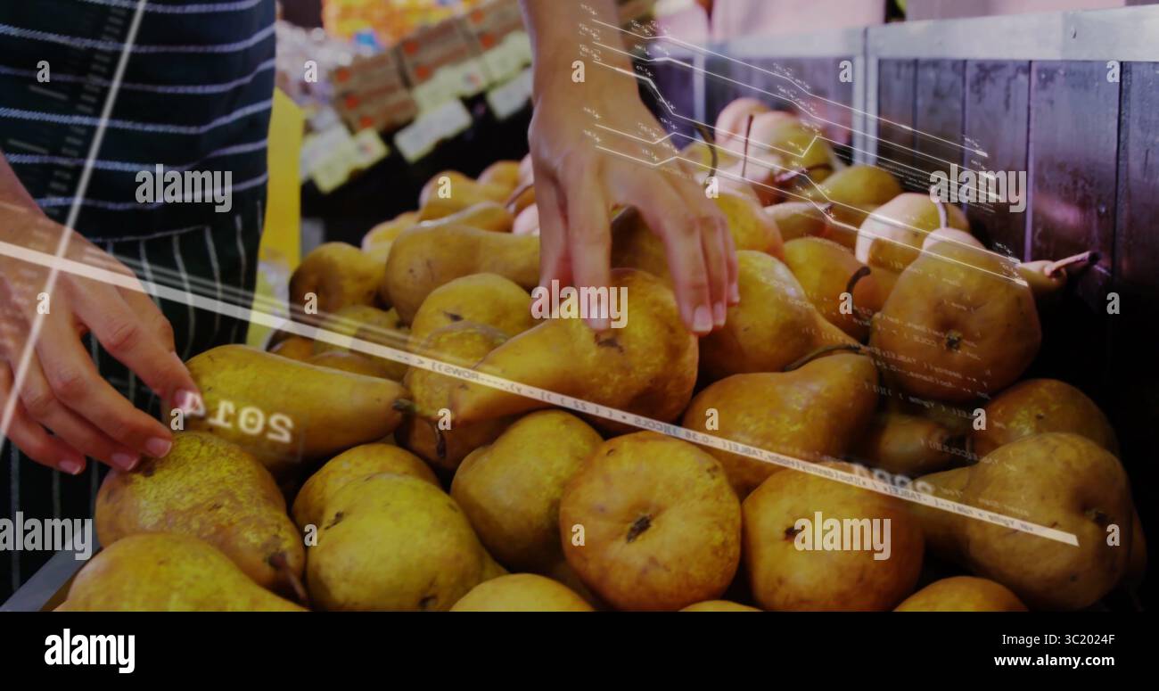Shopper wearing striped top selecting ripe pears in grocery store, with ...
