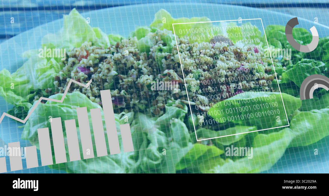 Displaying lettuce salad with grain mix in studio under binary code ...