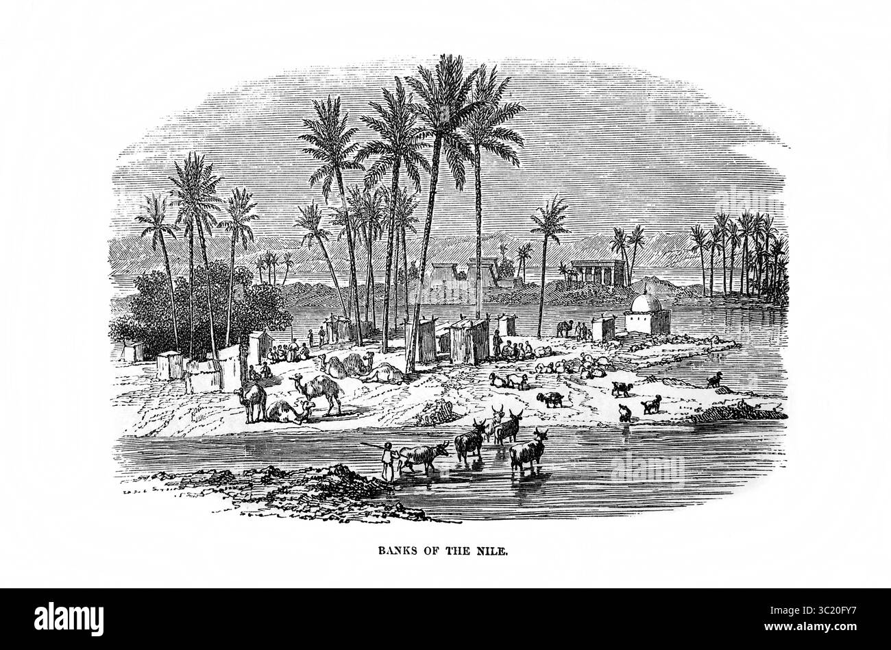 Bible times Black and White Stock Photos & Images - Alamy