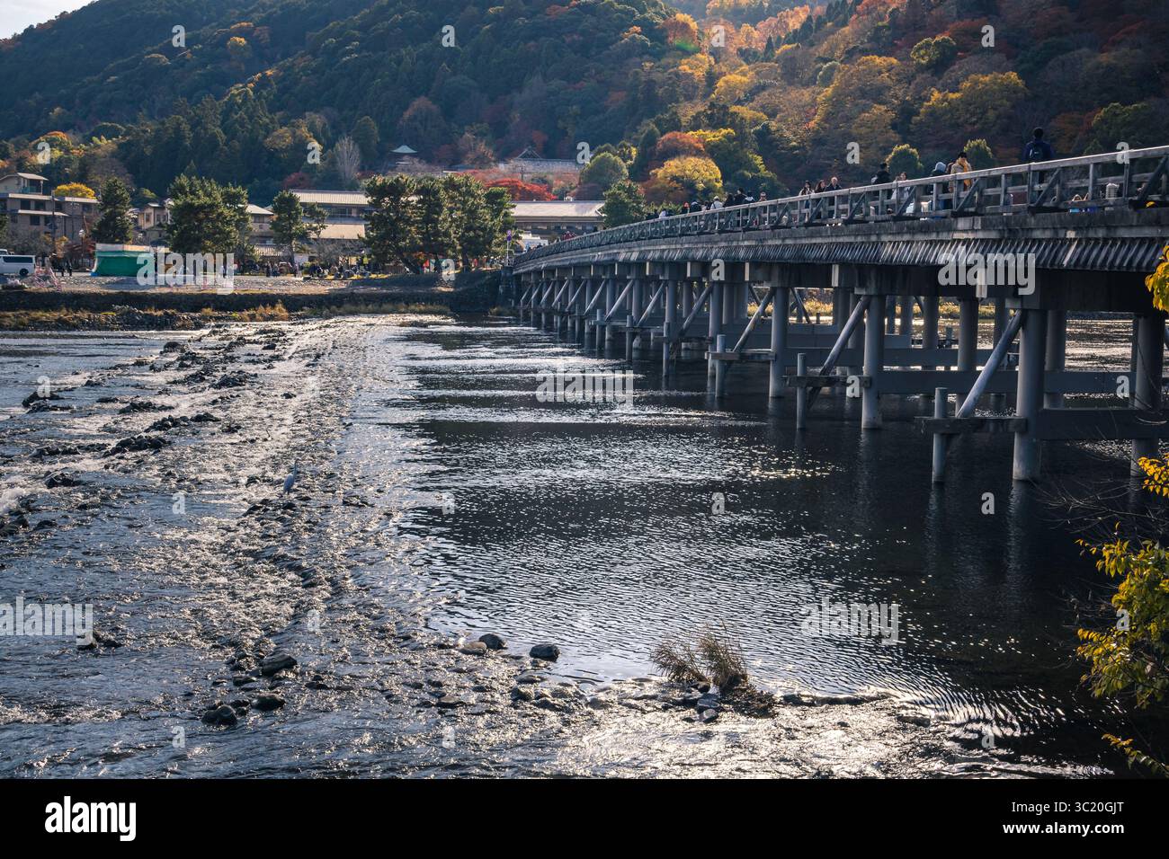 Iwatayama Monkey Park, Arashiyama, Kyoto, Japan Stock Photo - Alamy