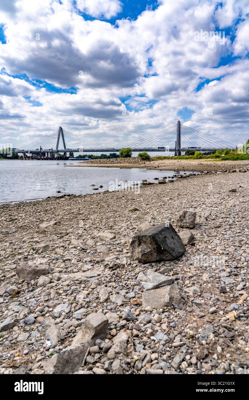 Low water levels on the Rhine near Leverkusen, new Rhine bridge on the ...