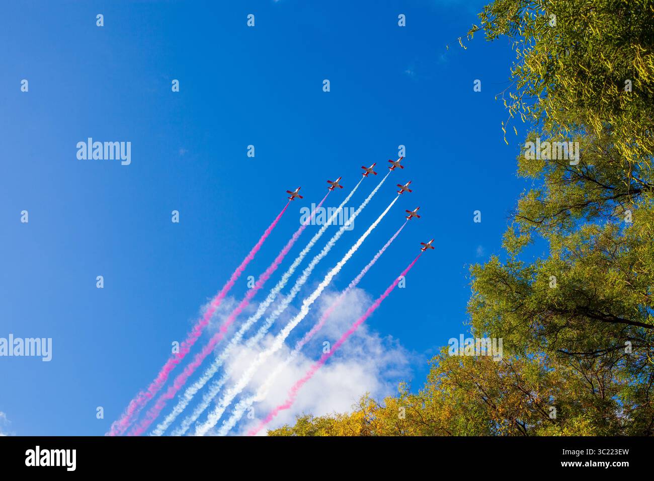 Military and emergency services aircraft flying in the military parade ...